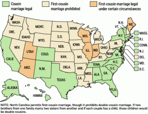 Explore cousin-marriages… within your family tree! | The Genealogy Corner